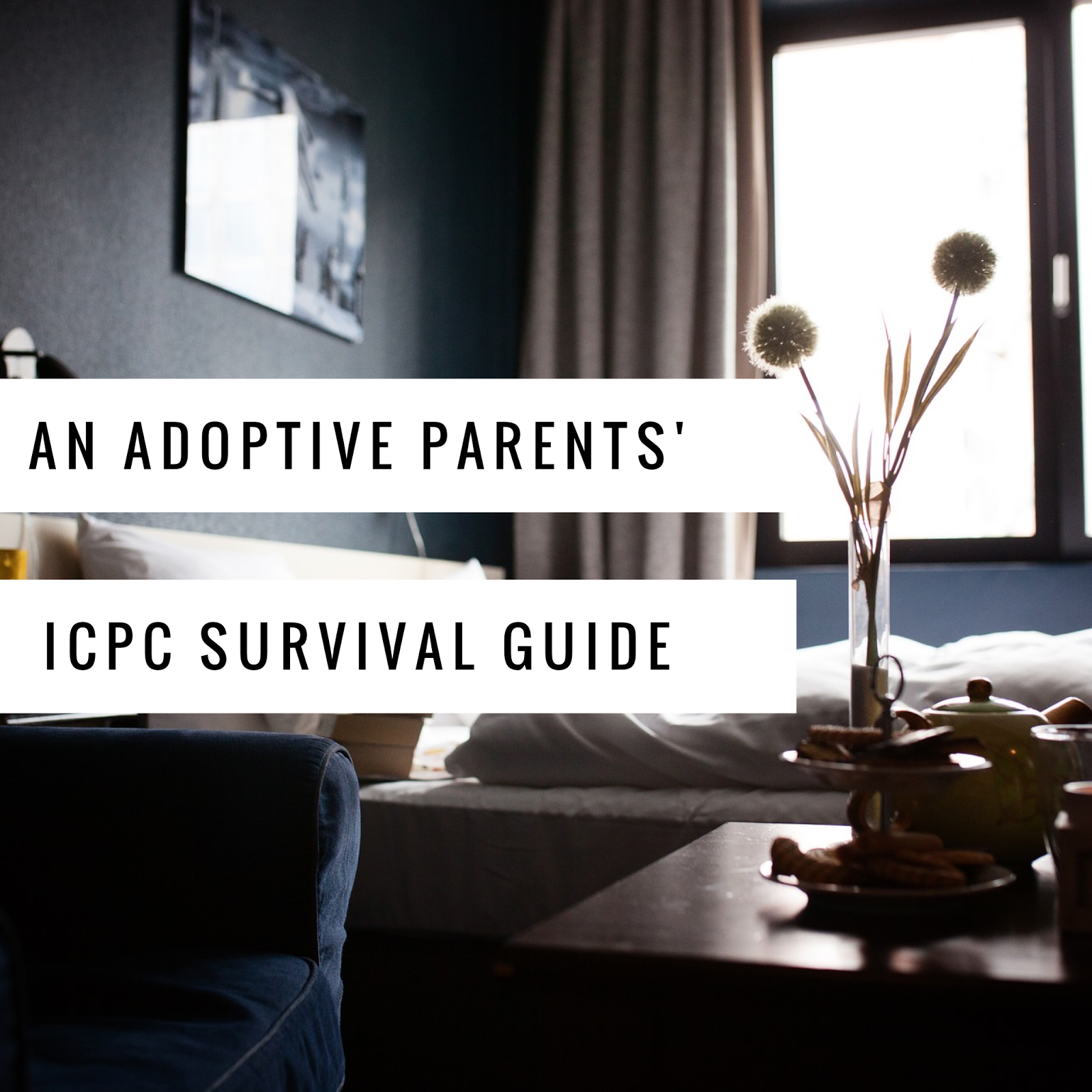 ICPC Survival Guide | Christian Adoption Consultants