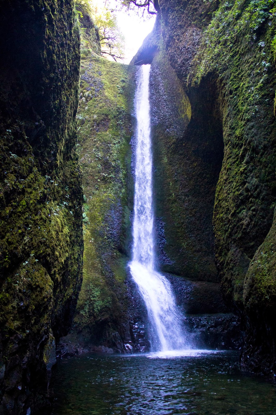 Dave Goes Outside: Wauna Viewpoint, Oneonta Gorge, and Bridal Veil falls