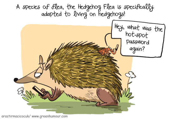 Green Humour: Hedgehog Cartoons for Arastirmaci Cocuk