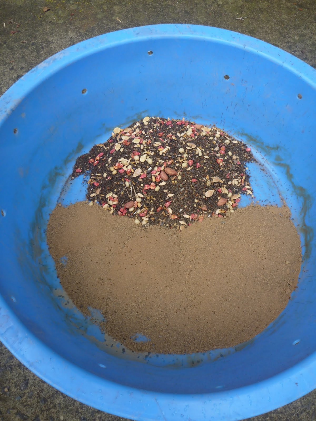 Dream Seed Farms: Adventures in Seed Balling