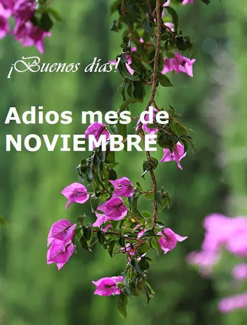 Maribel Sansano: Queridos amigos, digamos adiós a Noviembre y ...