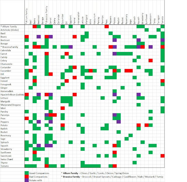 Fabulous Farm Living: Companion Planting Guide