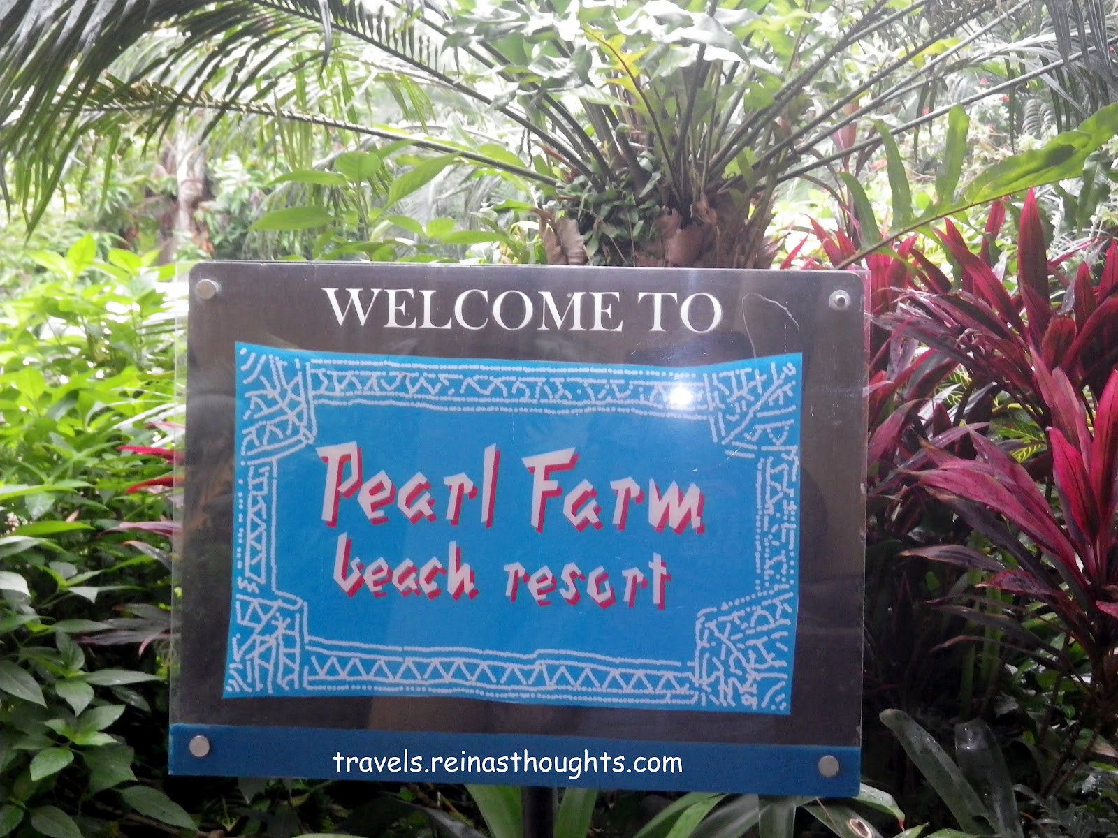 IGACOS: Pearl Farm Beach Resort