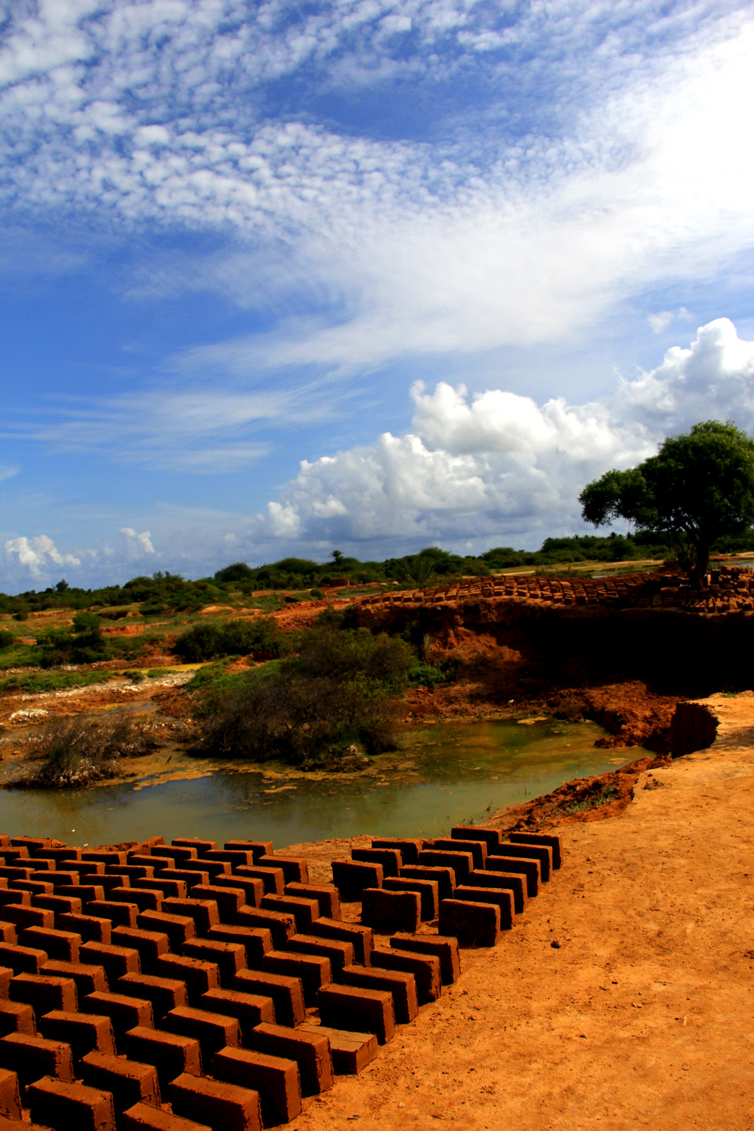 All The Live Long Day: Madagascar Honeymoon, Post #7: 21 to 27 April 2011