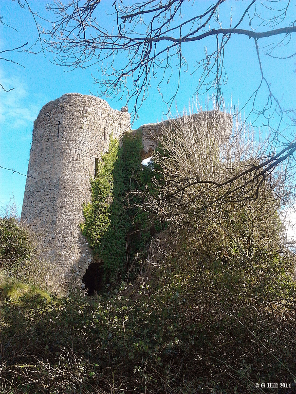 Ireland In Ruins: Lea Castle Co. Laois