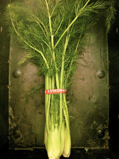 Rio Gozo Farm: Vegetable ID