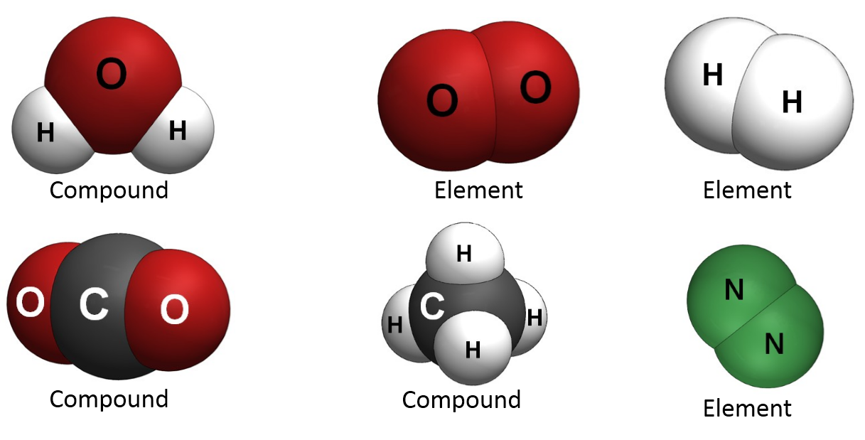 JiaJun's Blog: Science E-portfolio