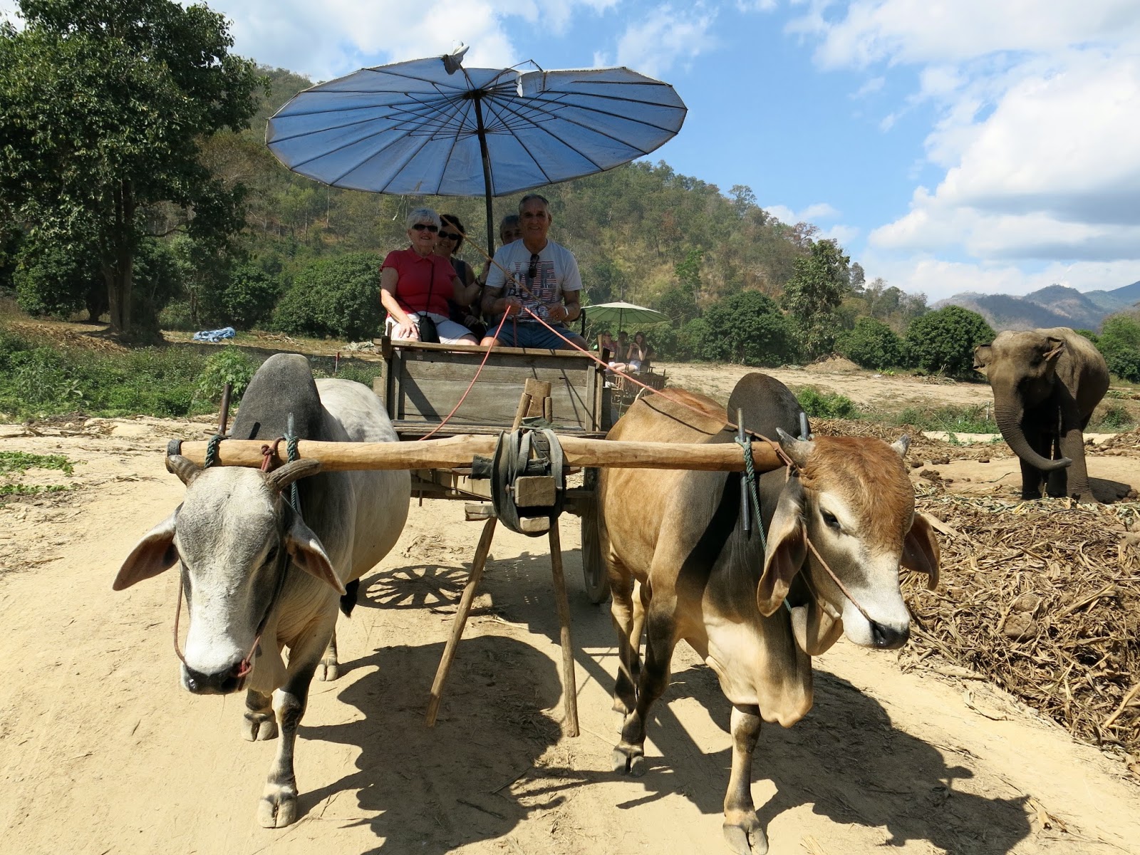 Thailande 2016: Promenade en charette