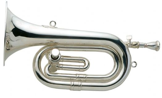 O PRAZER DE LER E ESCREVER: A corneta mágica