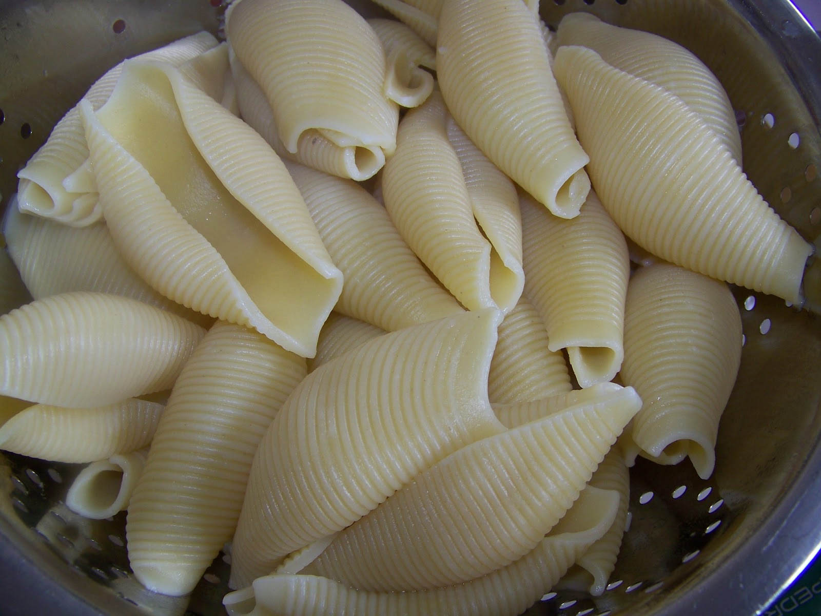 Kitchen Simmer: Stuffed Pasta Shells with Meat Ragu