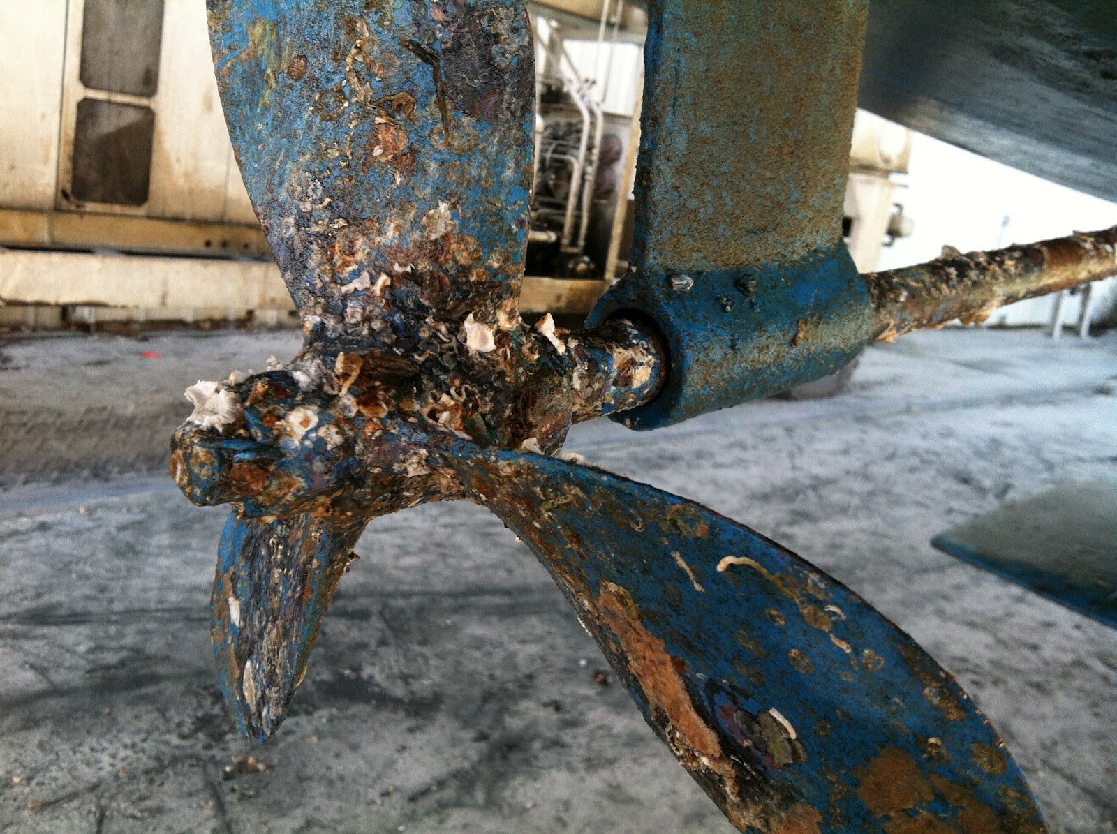 Rodgers 24/ Catalina 30