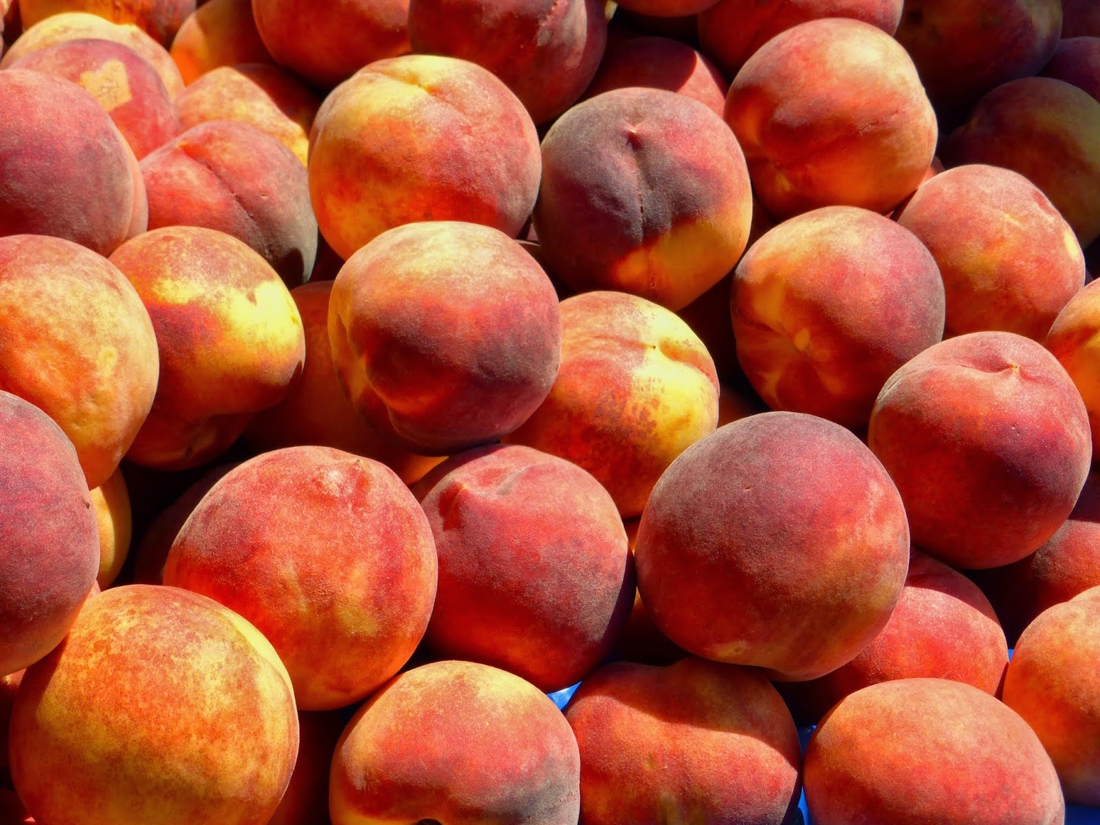 A picture a day: Thanks for the peaches