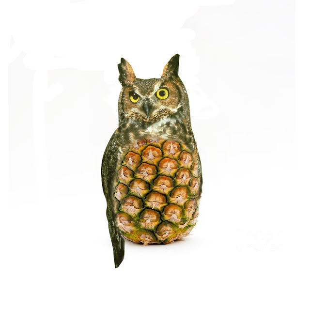 West Generations Academy | Digital Art: Hybrid Designs