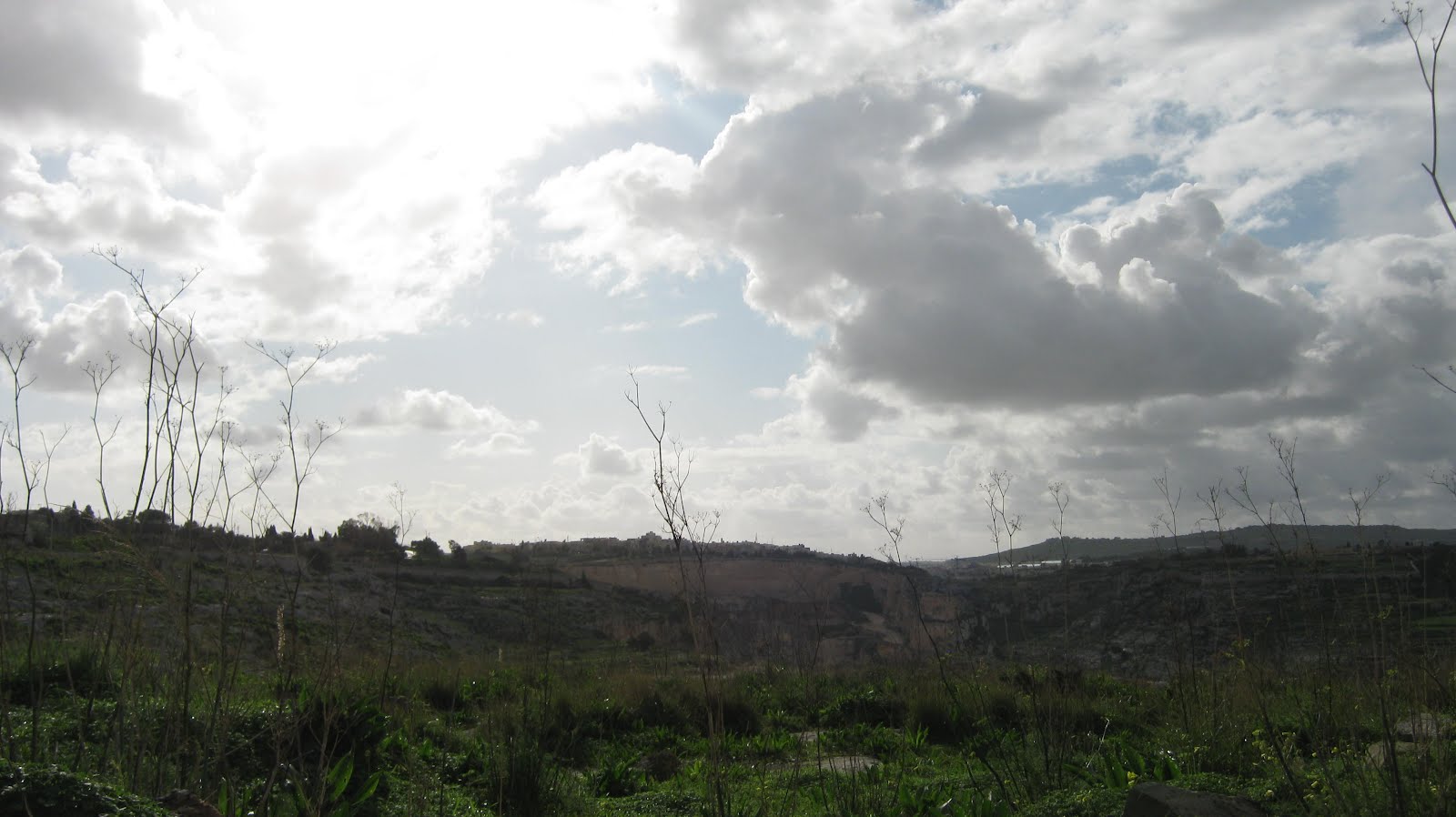 Alex Cassar: Arch1101