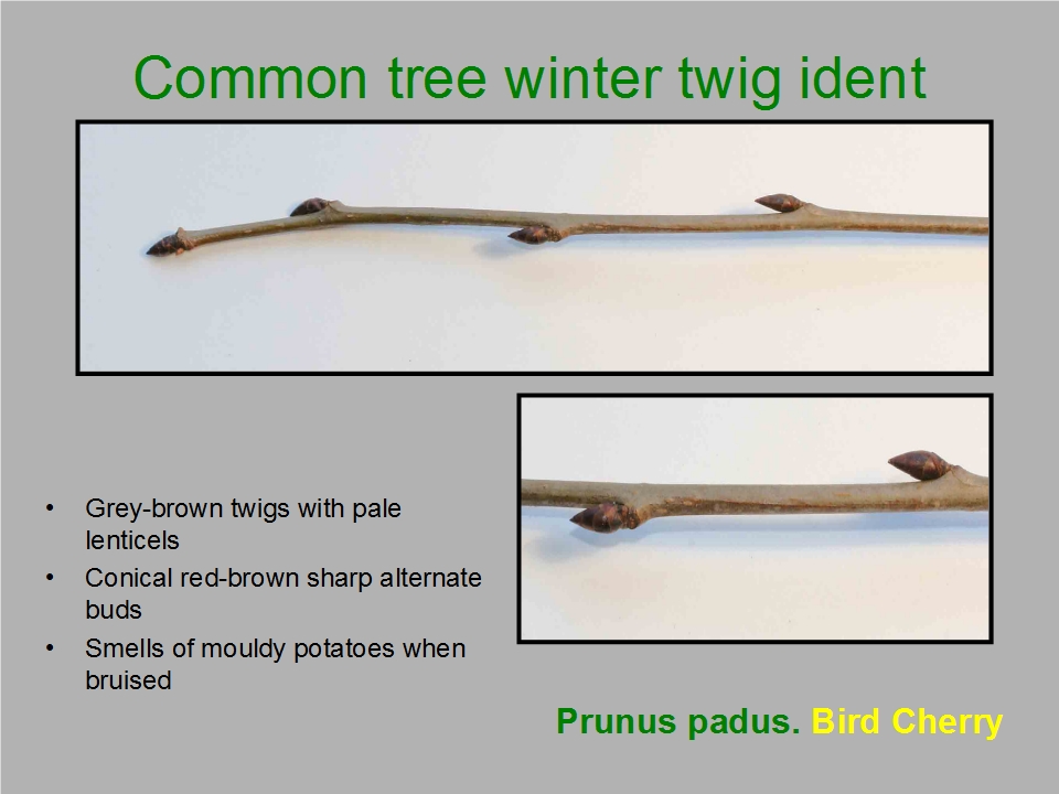 Woodland Management: A Guide: 2018