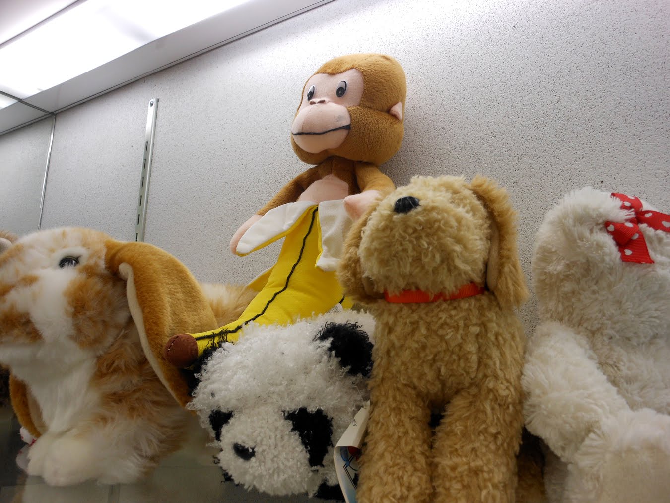 Hobbies on Display: October 2012- Sophia's Stuffed Animal Collection