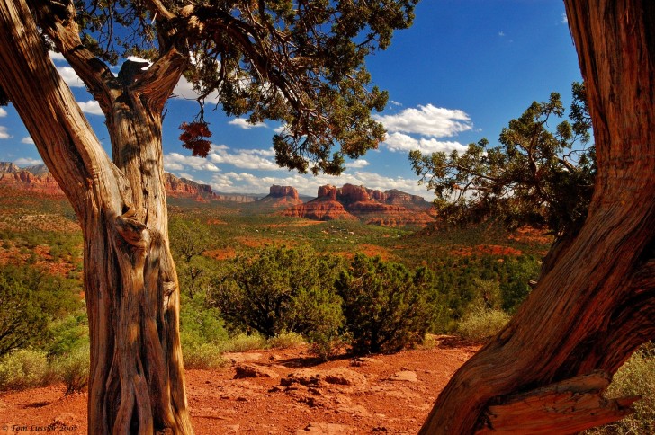 Sedona, Arizona | Red Rocks United States | World