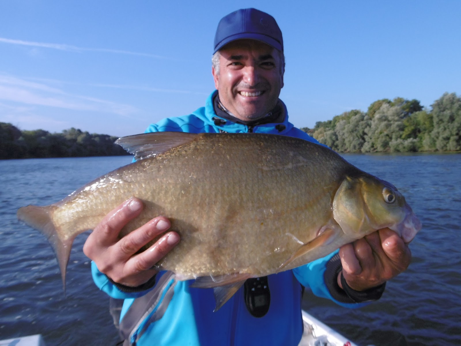 Pêche du carnassier en Seine: Perches au poisson nageur et mucus au ...