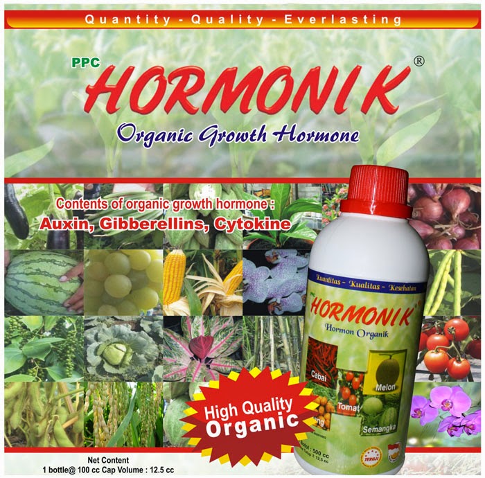 Jenis-jenis Hormon pada Tumbuhan beserta Fungsinya - SAUNGTANI