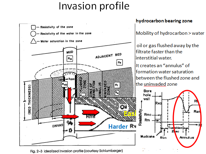 Invasion Profile: Transition Zone