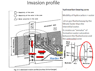 Mud Invasion Profile
