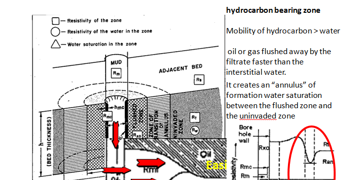 Invasion Profile: Transition Zone