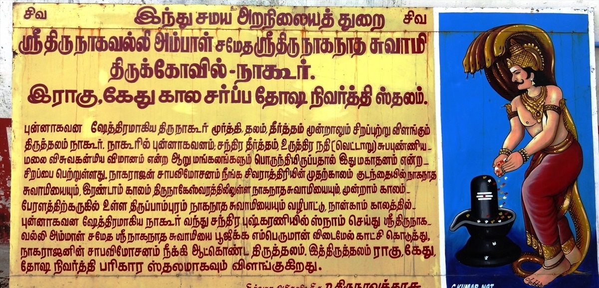 Tamilnadu Tourism: Nagoor Naganathar Temple, Nagapattinam