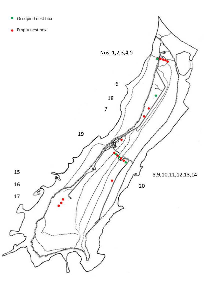 Middleton Island, Gulf of Alaska