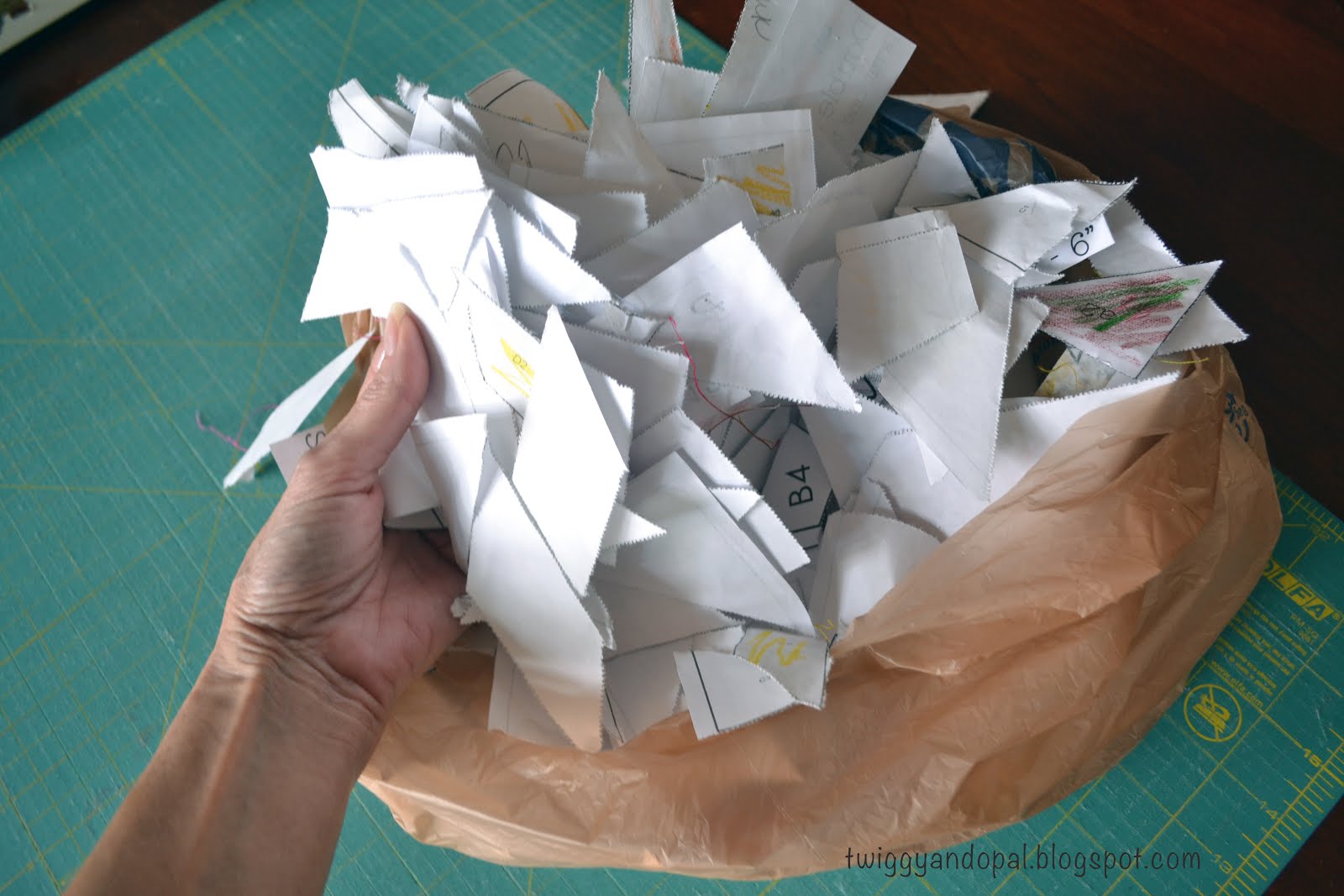 Twiggy and Opal: Nearing The End :: Epic BOM :: Finale