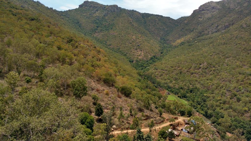 Tamilnadu Tourism: Bison Valley View Point, Ooty, Nilgiris