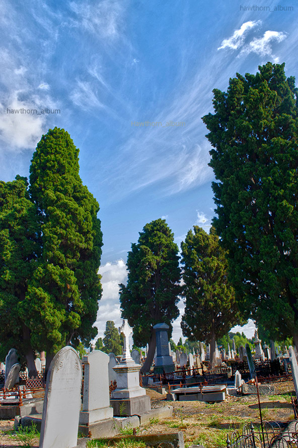 Hawthorn Album: Melbourne General Cemetery