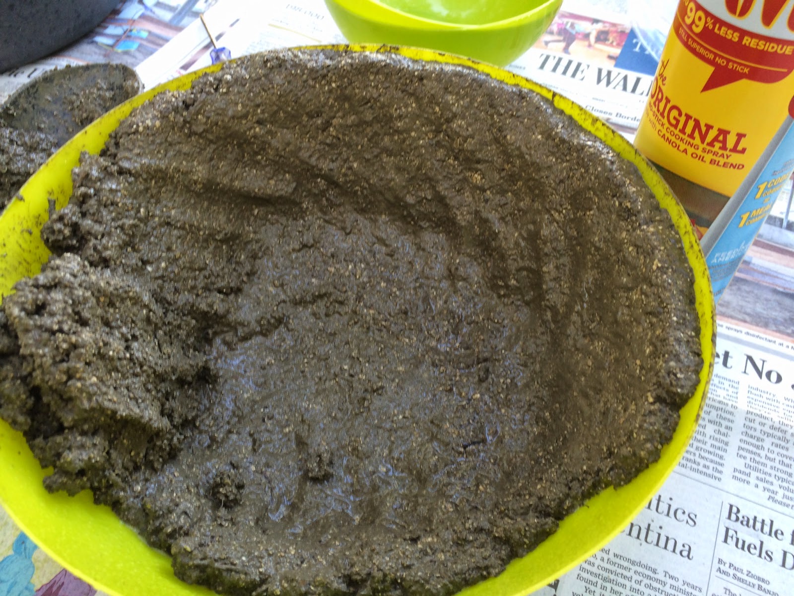 Garden AHHH: Fun with Hypertufa