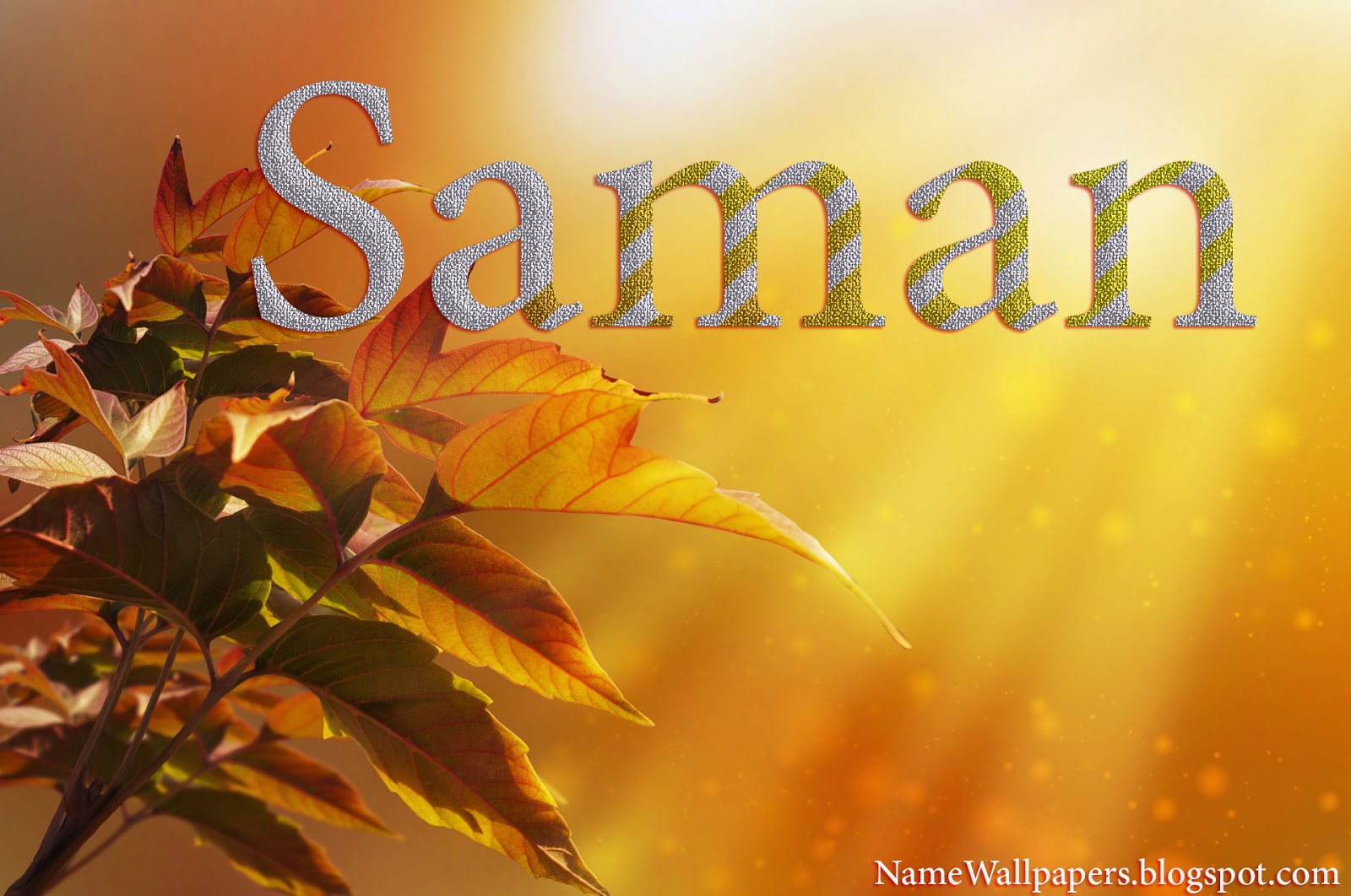 Saman Name Wallpapers Saman ~ Name Wallpaper Urdu Name Meaning Name ...
