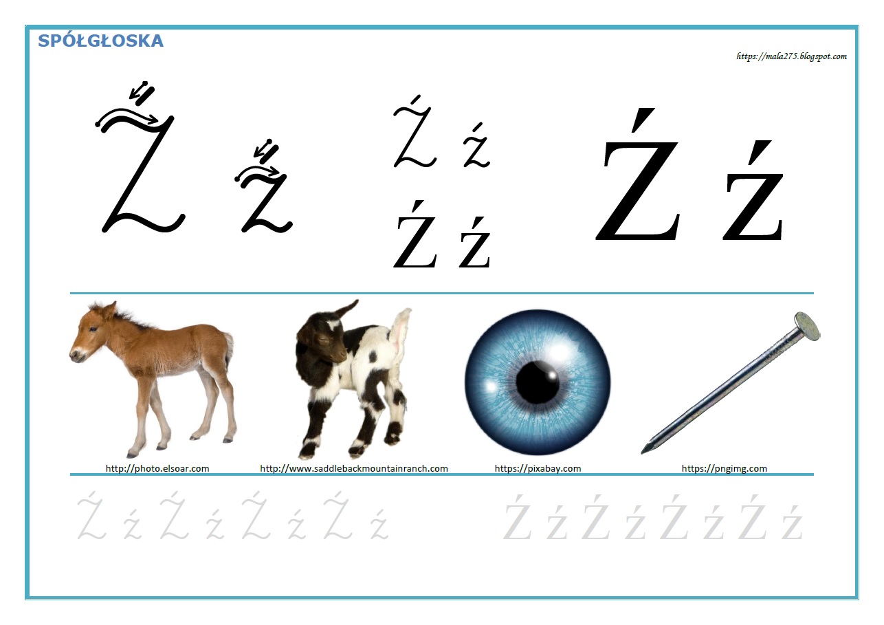 BLOG EDUKACYJNY DLA DZIECI: LITERKA Ź