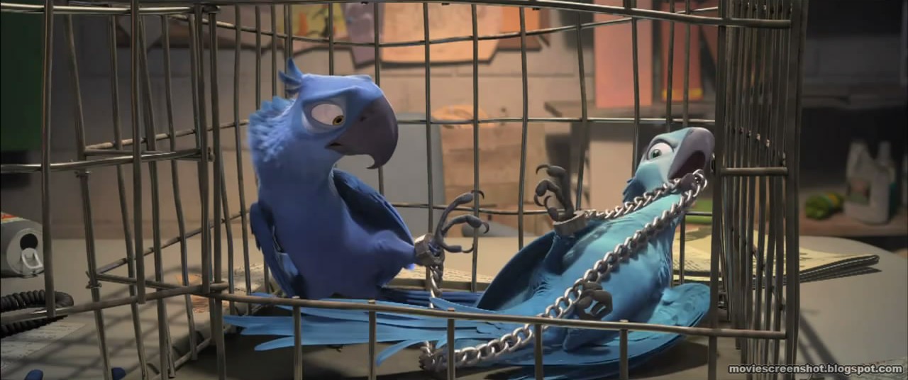 Rio HD movie screenshots