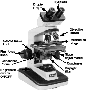 ibg102: LAB 1 : PRINCIPLES AND USE OF MICROSCOPE