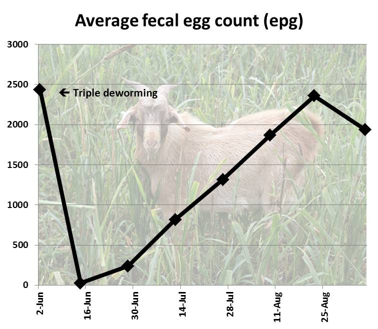 Western Maryland Pasture-Based Meat Goat Performance Test: Final fecal ...