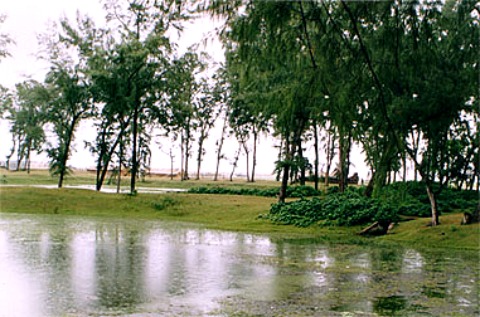 West Bengal Tour & Travel: Junput- The Legacy Tourist Destination Of ...