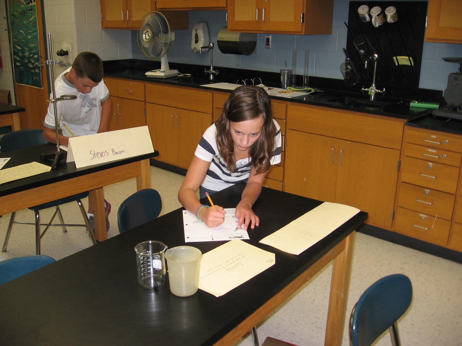Mr. Williams 6th Grade Science Blog: Science Lab equipment