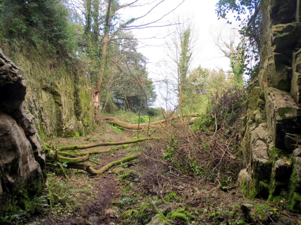 JSBlog - Journal of a Southern Bookreader: Bones beneath Brixham