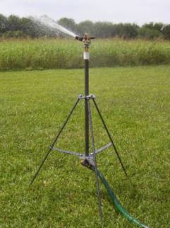 Two Men and a Little Farm: SPRINKLERS SPRINKLERS EVERYWHERE