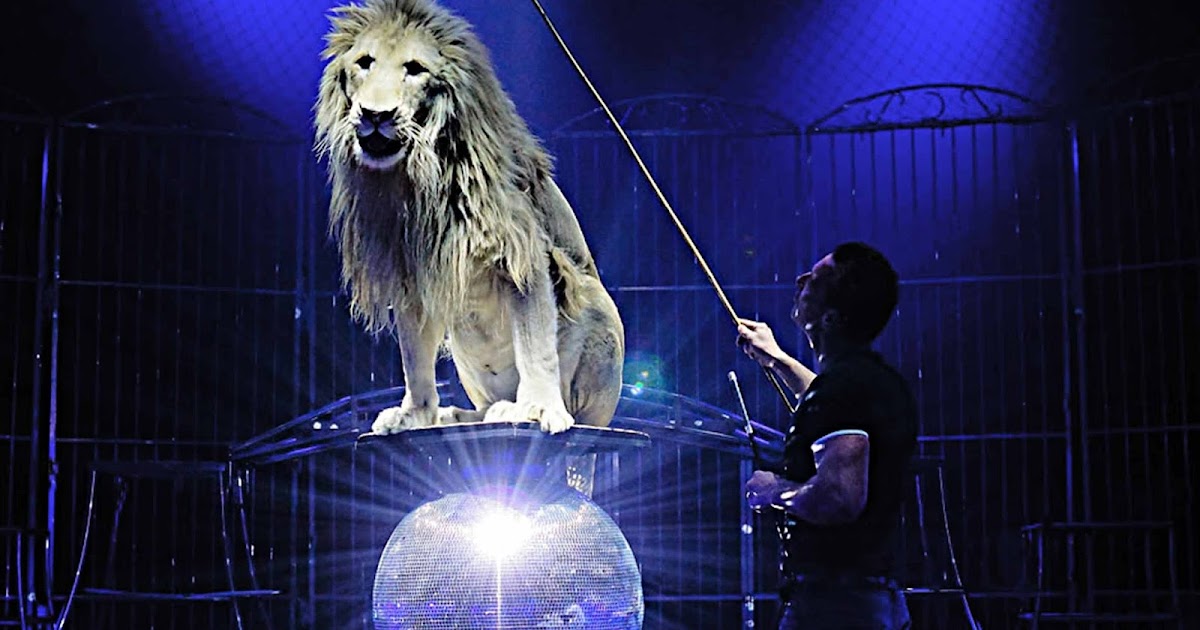 circus: Steeve CAPLOT (photos de Jacques Montereau)