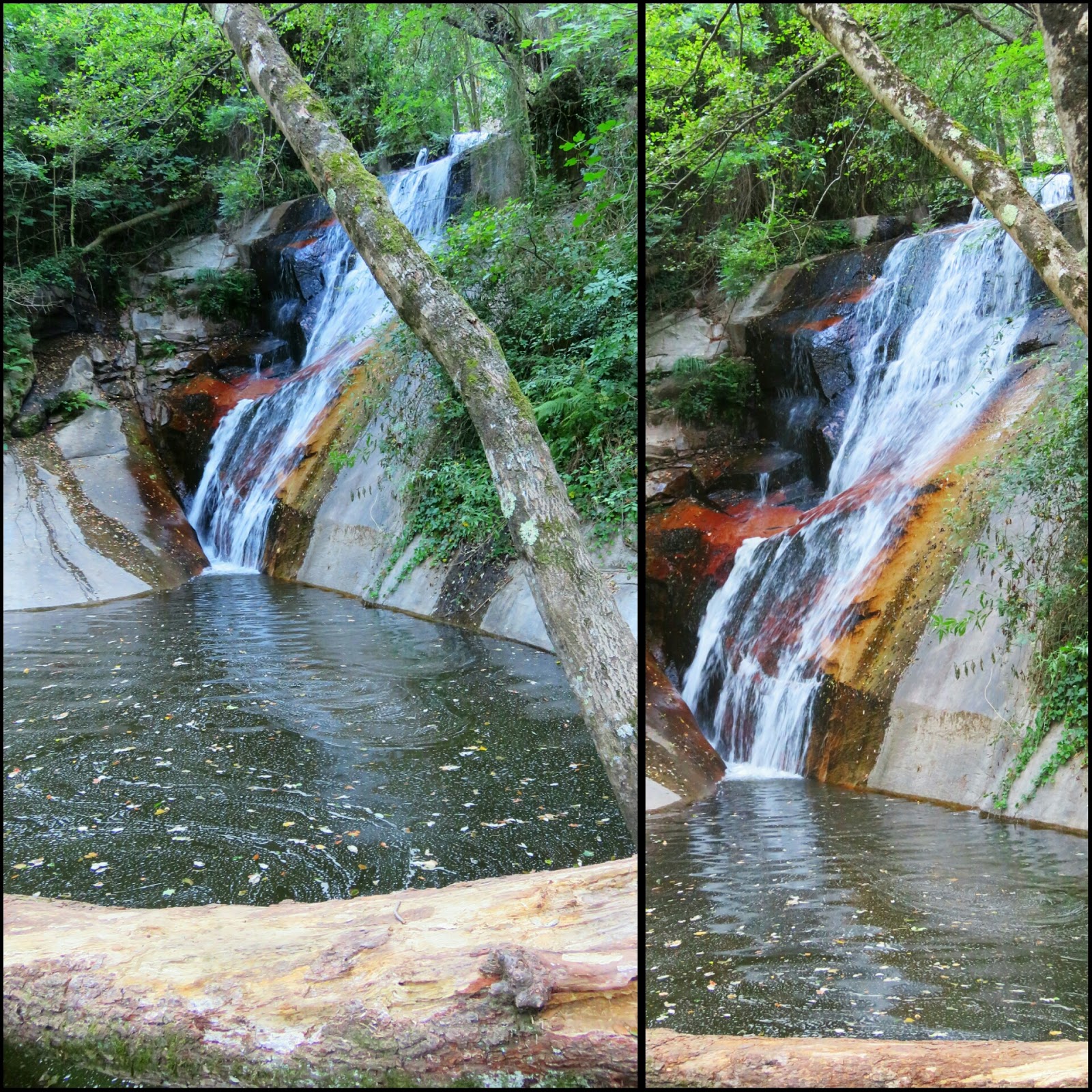 PARC MEDIAMBIENTAL DE GUALBA