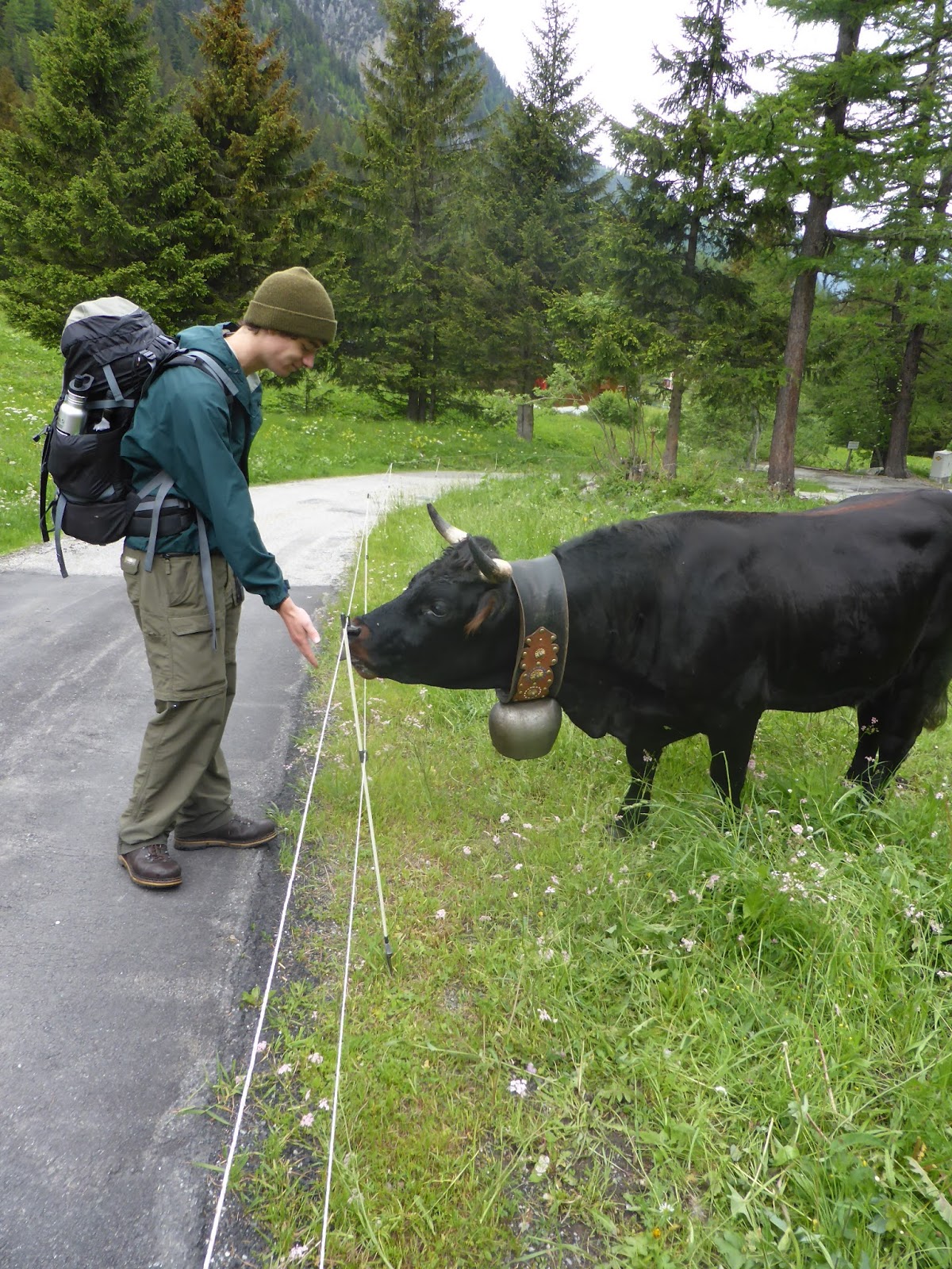 Our Tour du Mont Blanc: Cows and Sheep with Bells