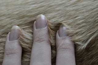 Jen Cairns A Level Photography Component 2 Sensory Experiences ...