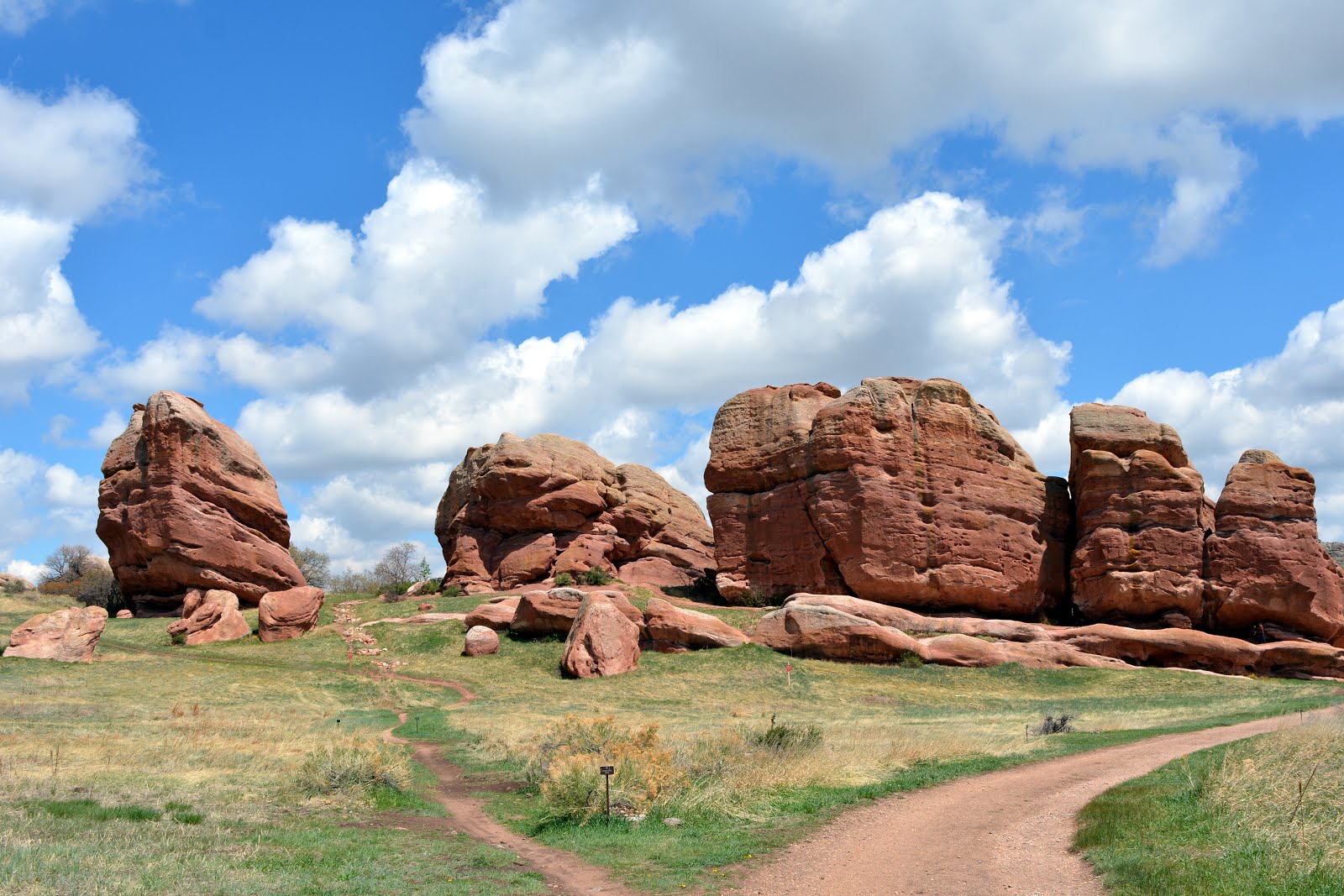 Mille Fiori Favoriti: Pink Saturday - Pink Trees