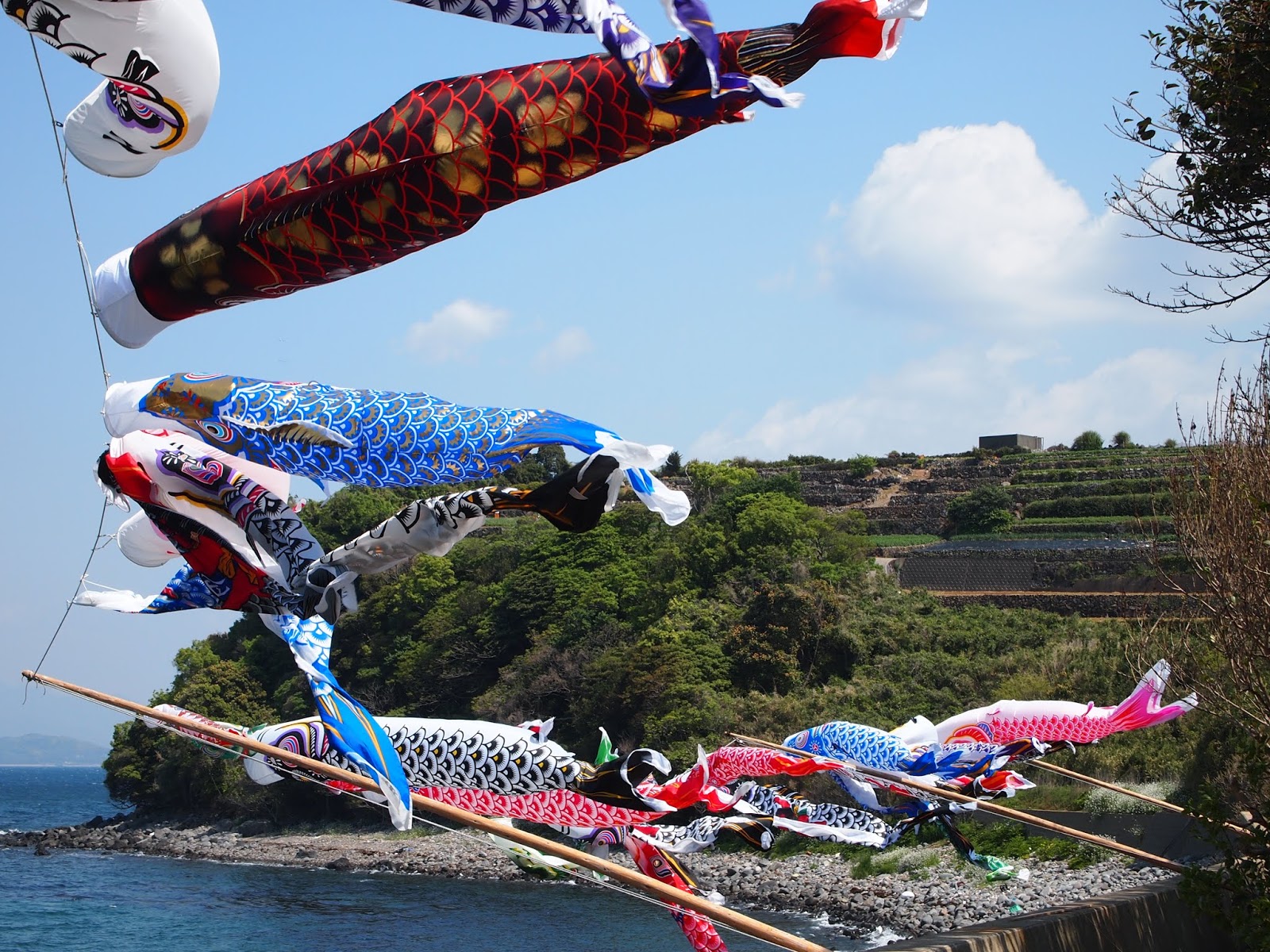 Dream Tours Japan: Flying Carp: Nagasaki and Fukuoka Prefectures