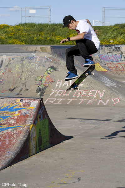 Photo Thug: Sherwood Park (Millennium Place) Top 5's