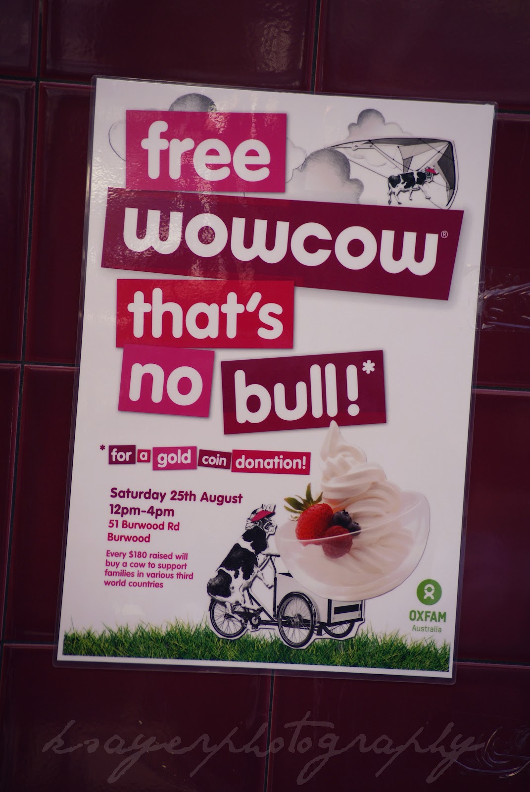 Southern In Law: Wowcow Frozen Yogurt Opens at Burwood