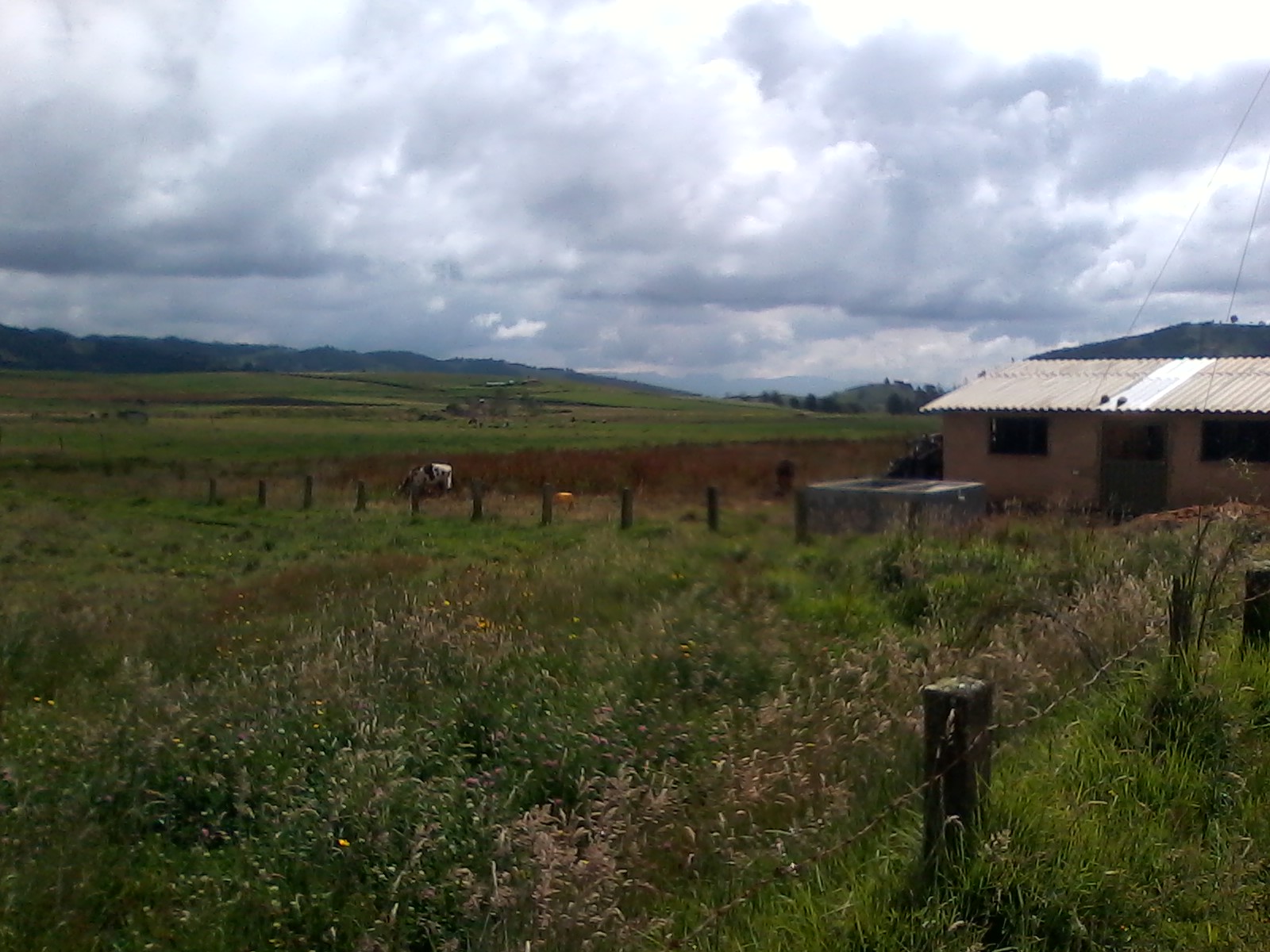 CUMIS, Samaca 2013 (Departamento de Boyaca/Colombia)